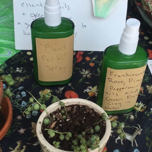 Hand Crafted | Other | Plant Perk Spray Natural Organic Botanical Plant ...